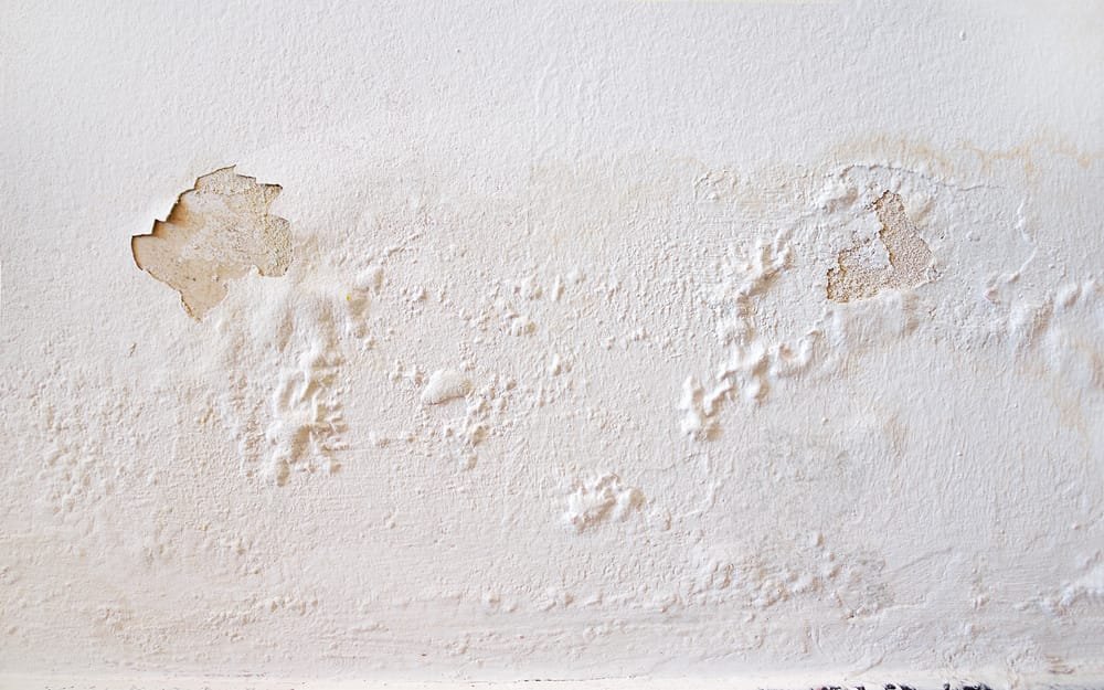 Fresh Paint Keeps Peeling off the Walls: Solutions & Tips