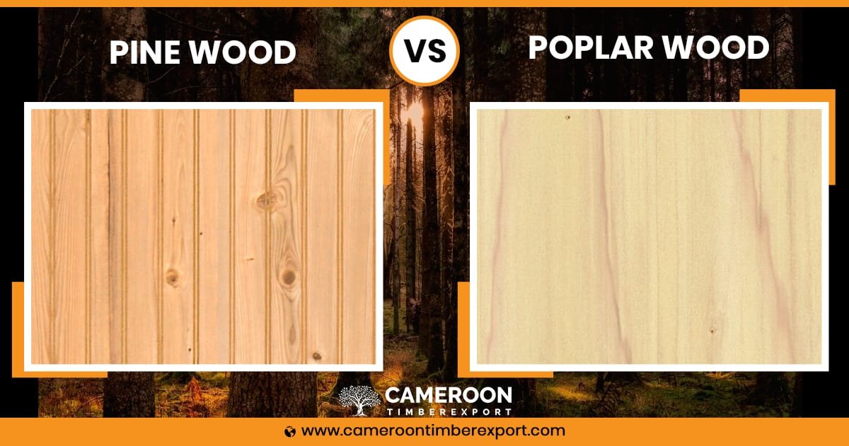 Poplar Vs Pine: Choosing the Best Wood for Your Project